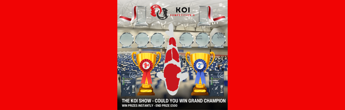 Home Page - KOI COMPETITIONS